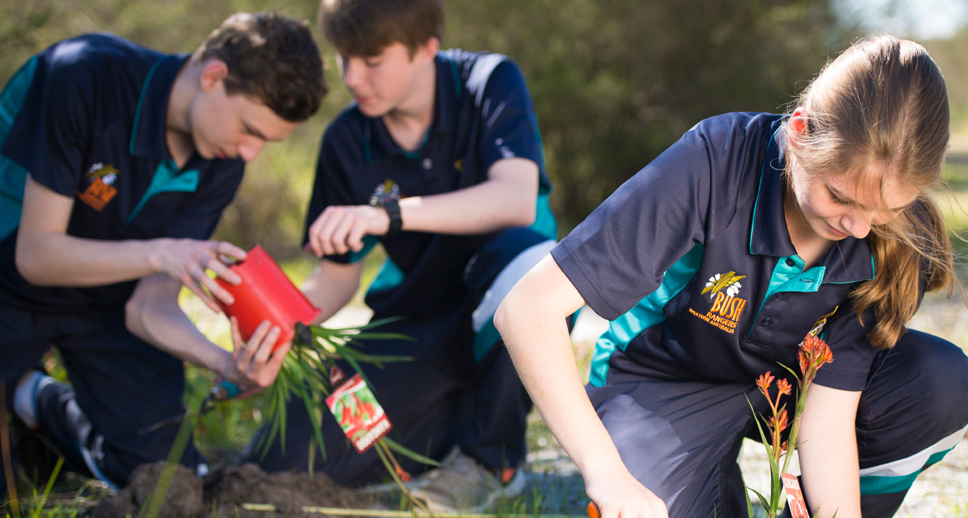 Christian Service Learning – Emmanuel Catholic College